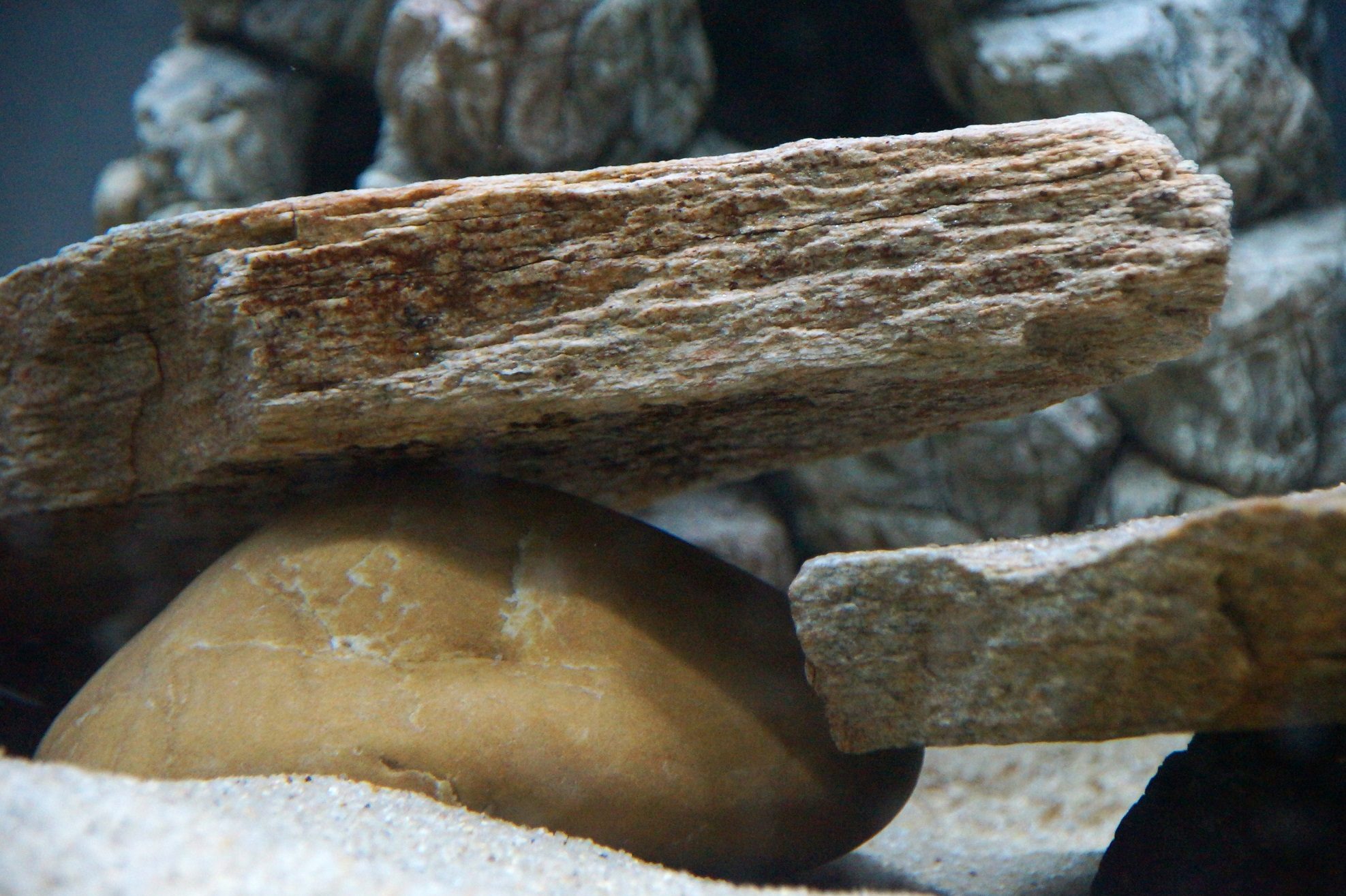 Aquarium Filter Waterfall Noise Reduction: A Quiet Place