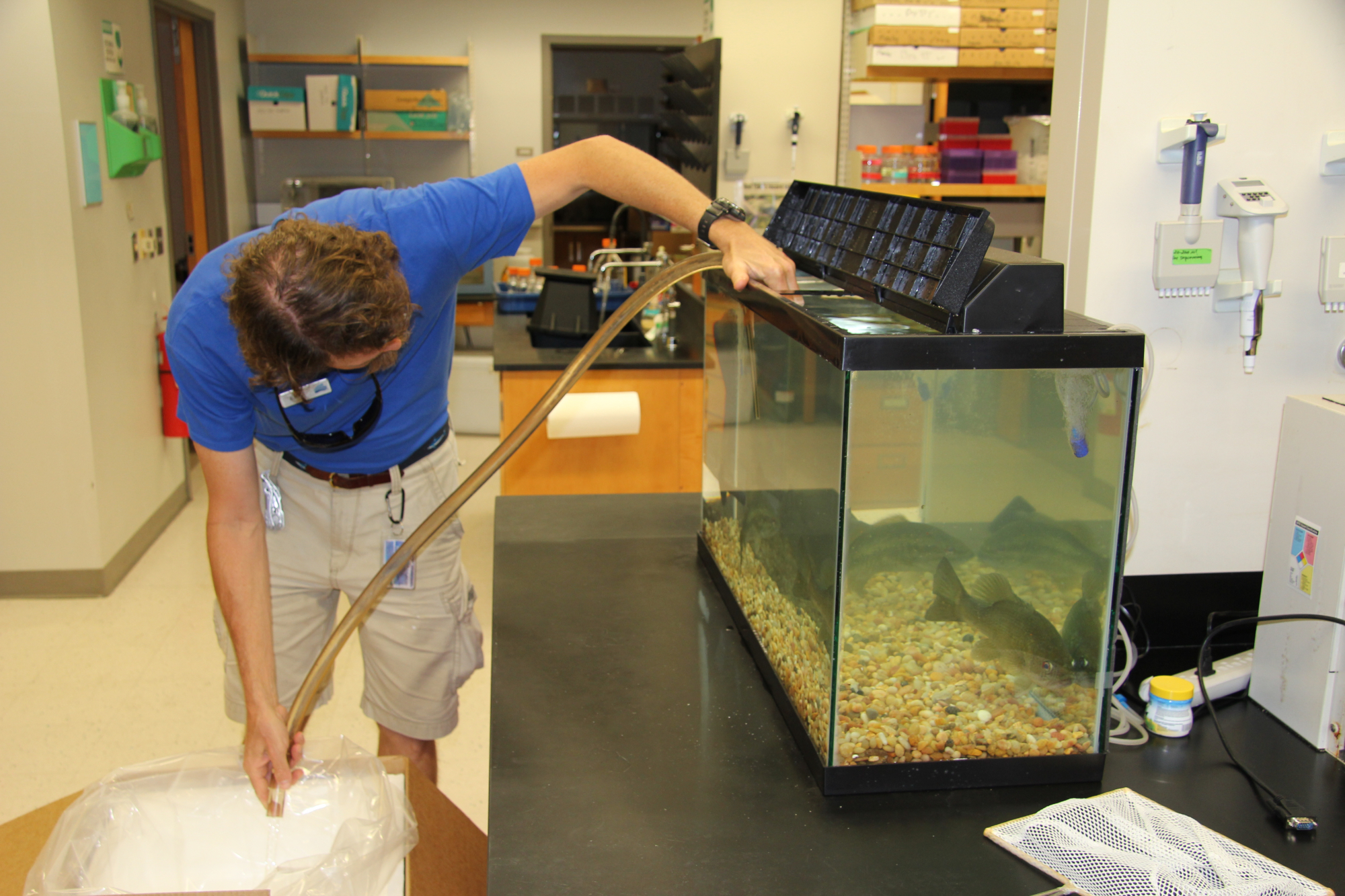 How To Ship Fish Safely: Domestic and International Shipping