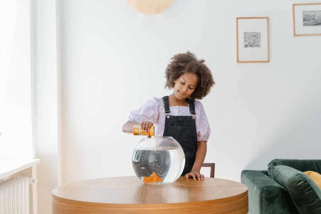 What Does A Goldfish Eat? Goldfish Diet Recommendations ([year])